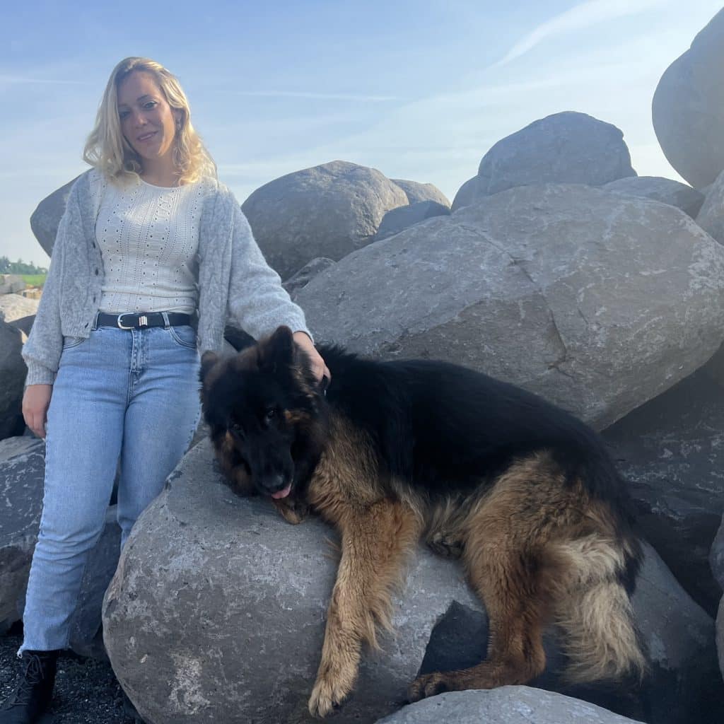 Schöne Basalt Findlinge lieferbar!